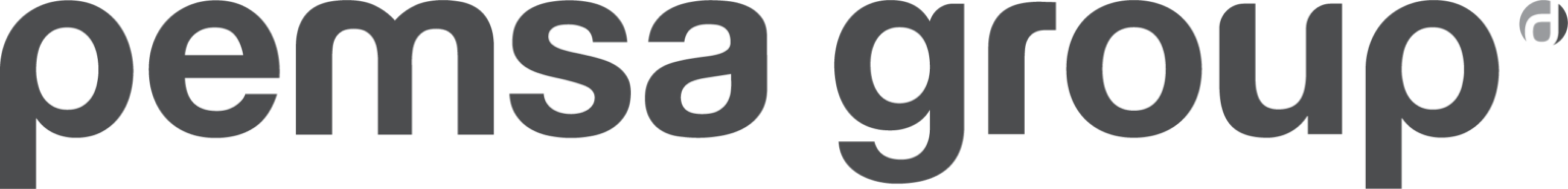 Nos activités - DLSI Emploi